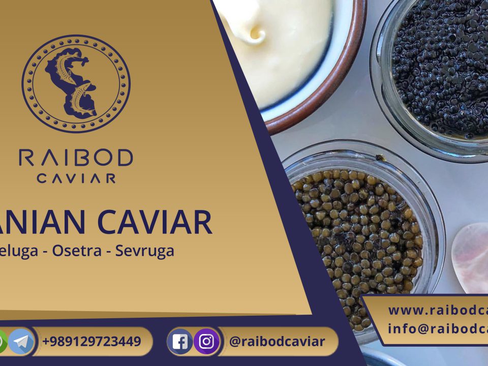Fake vs. Real Caviar: How to Identify Artificial Imitations and Choose ...