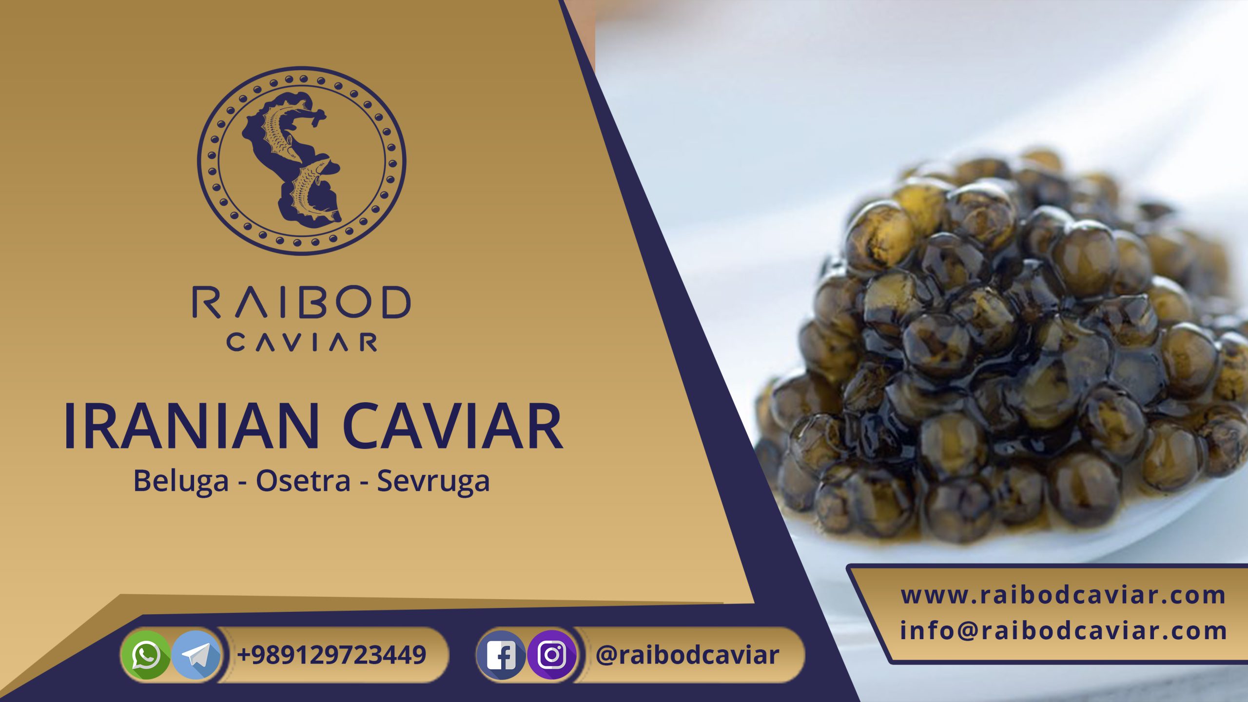 Caviar Price in Bahrain: Your Guide to Buying Premium Caviar