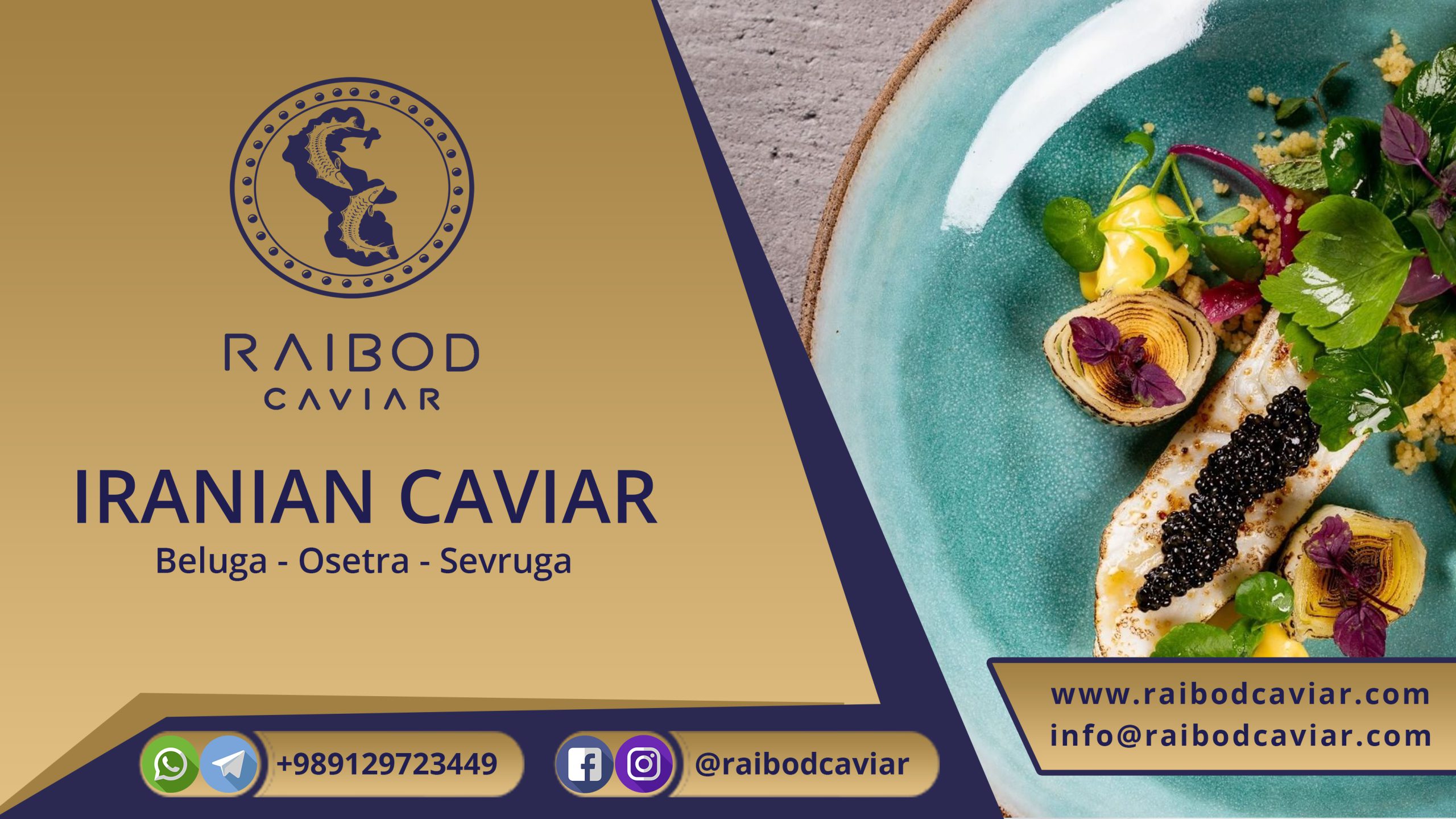 Buy Beluga Caviar from Iran 2024 | Top Iranian Beluga